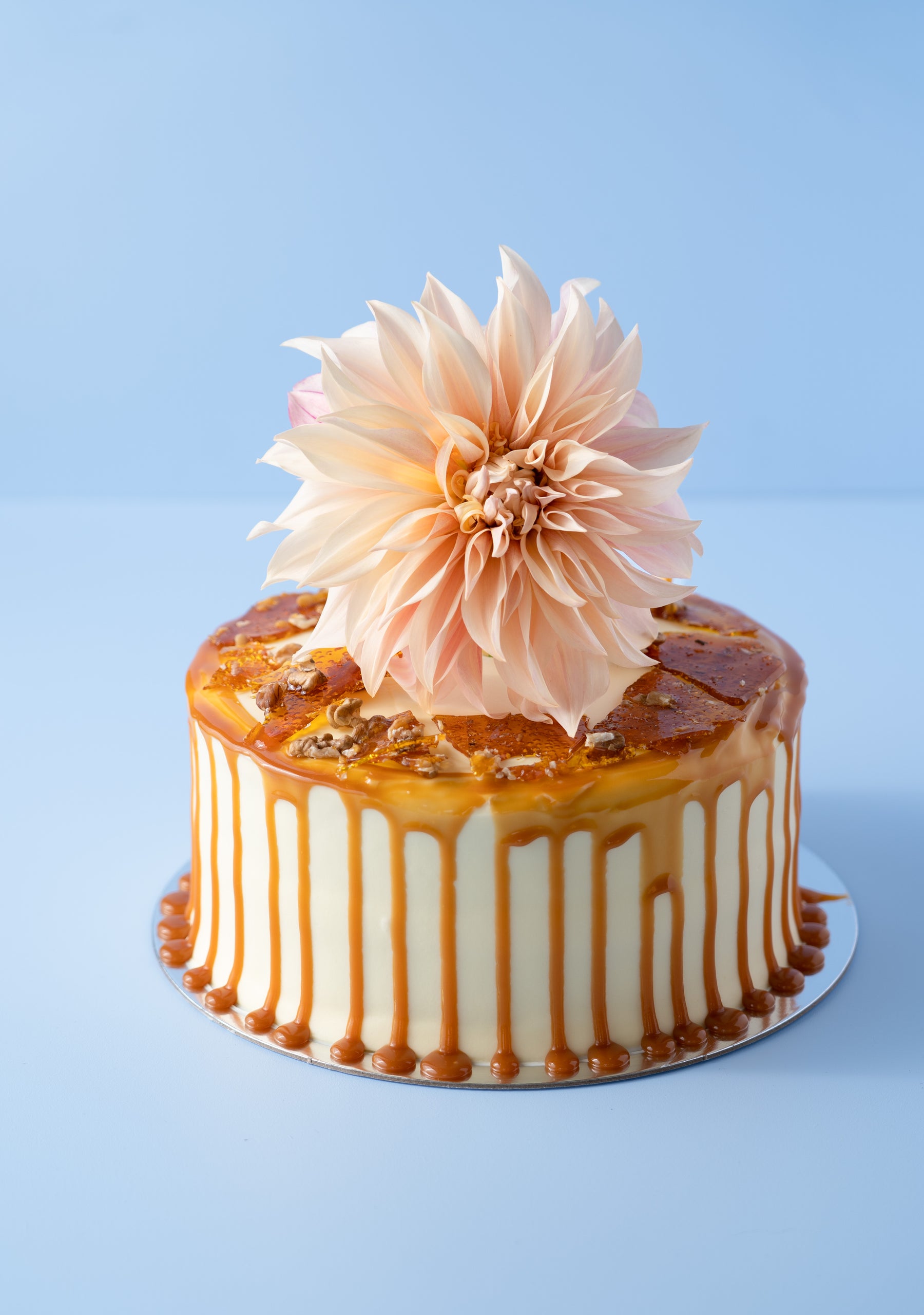 Contact Me | Weeping Willow Cakes | Queenstown